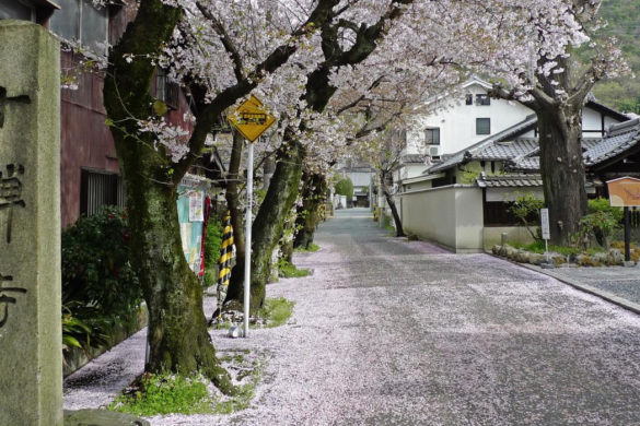 Der Biwa-See: Ein Ausflug zu Japans größtem See - The Hangry Stories