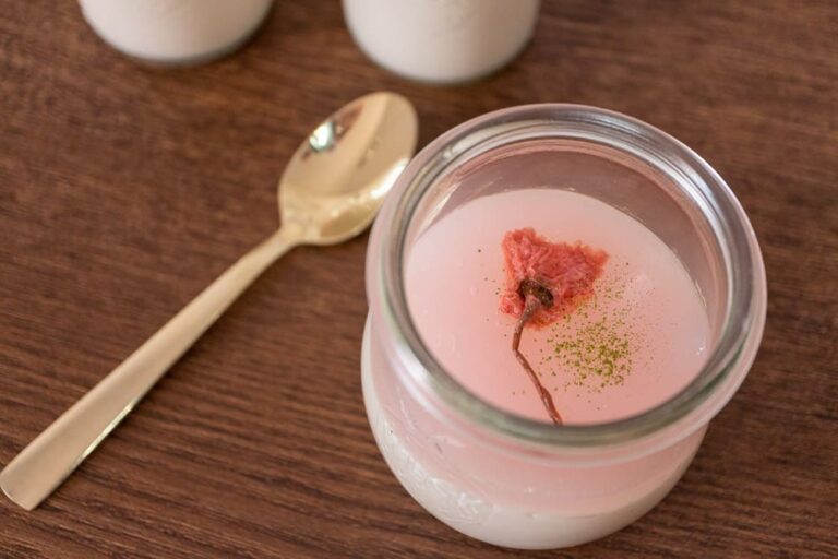 [Rezept] Sakura Pudding: Frühling im Glas - The Hangry Stories