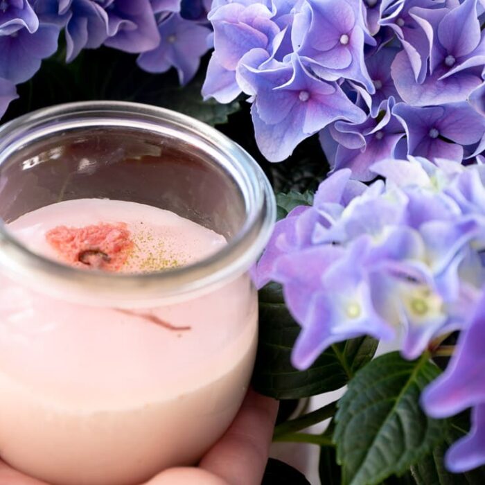 [Rezept] Sakura Pudding: Frühling im Glas - The Hangry Stories