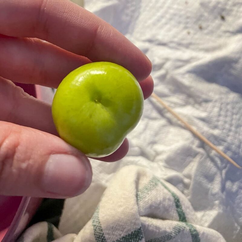 Rezept: Japanischer Ume-Sirup - The Hangry Stories